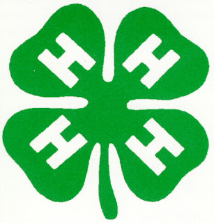 San Patricio Co.4-H Vision: The start of a new year