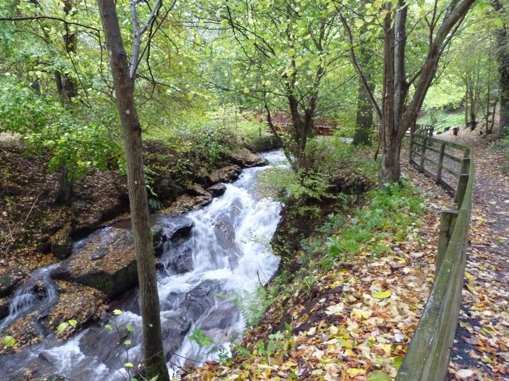 Memoirs of a Bed & Breakfast Owner: QuarryMill Woodland Park