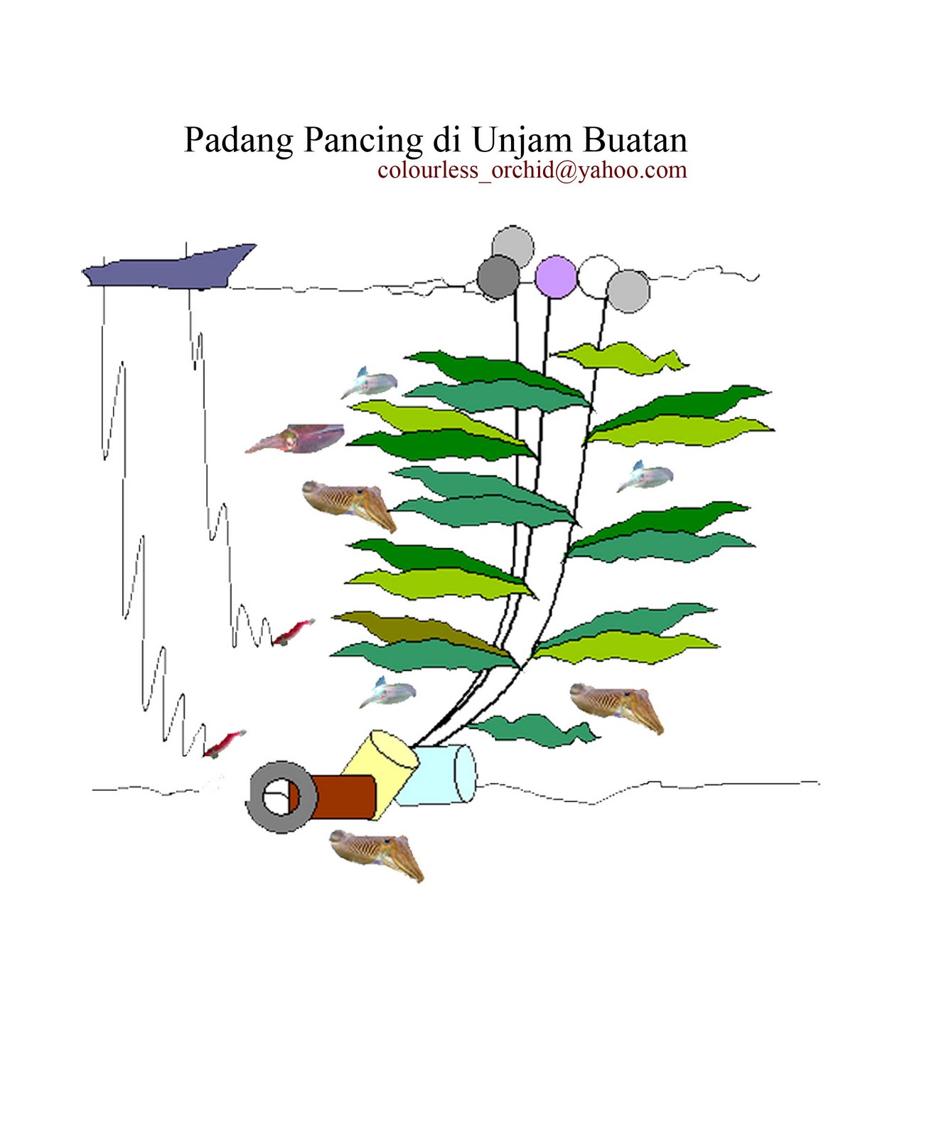 Sotong: Mengilat Di Unjam