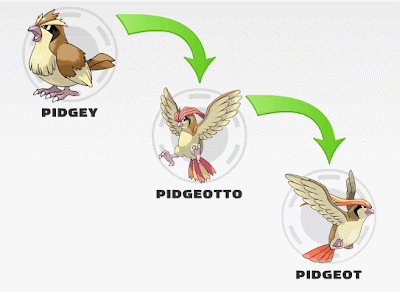 Pokemon Evolução: Evolução Pidgey
