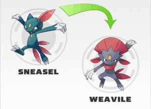 Pokemon Evolução: Evolução Sneasel