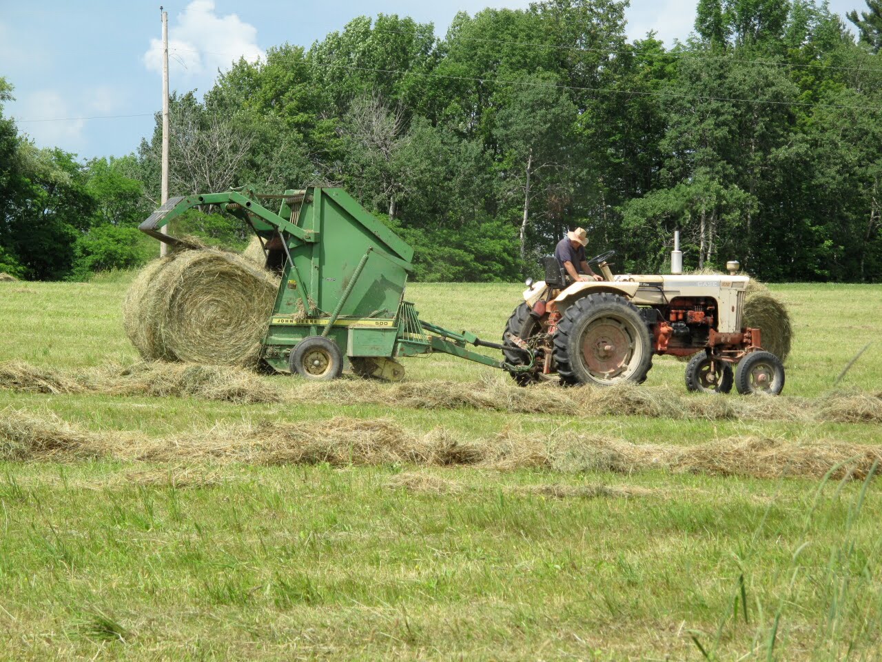 The Joyce Road Neighborhood: Making Hay