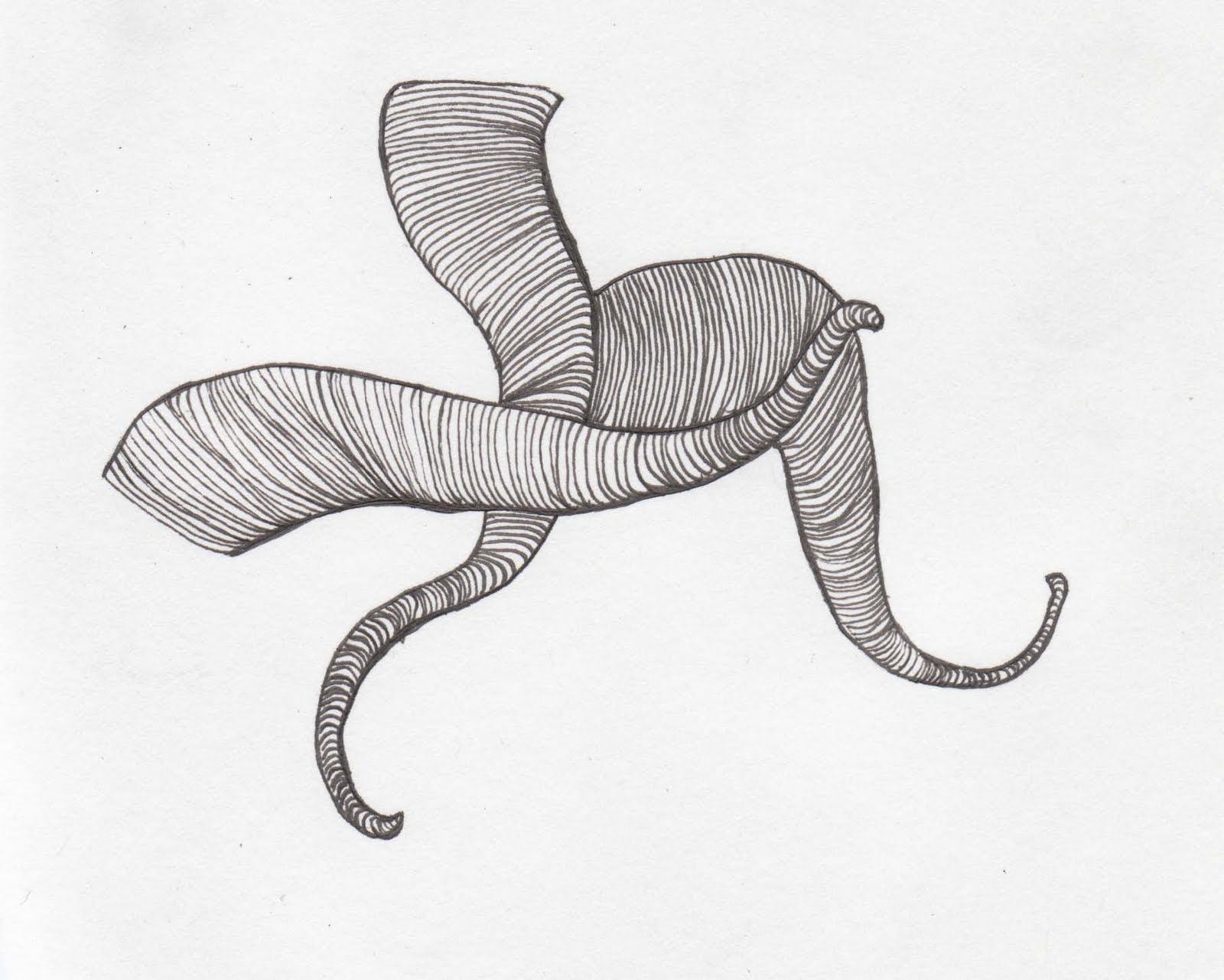 Drawing Class!: Playing with organic form