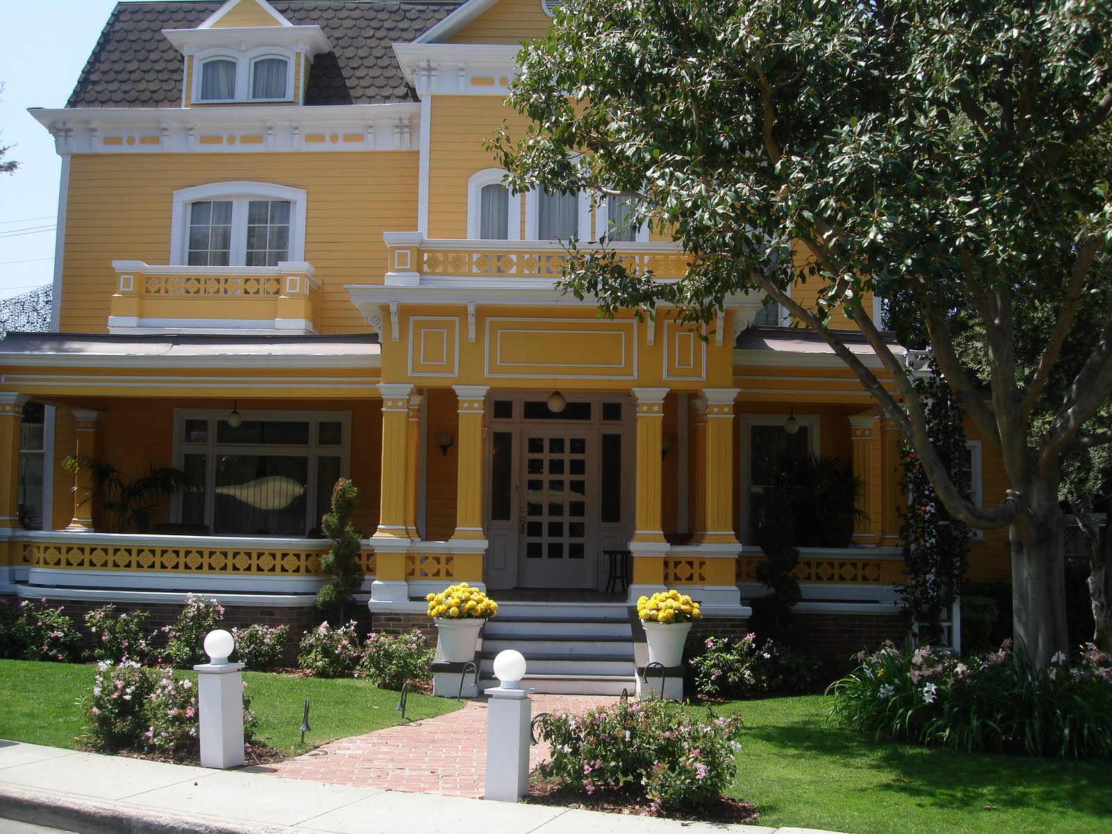 gorgeous footsteps in the sand.: April 2010