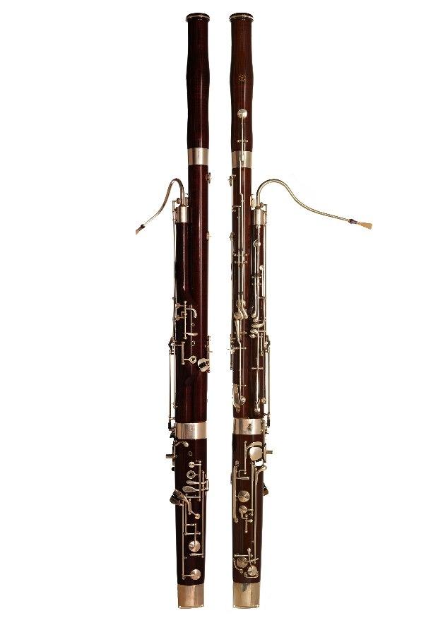 BLOG DE 4º E.S.O. DEL IES VEGA DE MAR CURSO 2010-11: Fagot