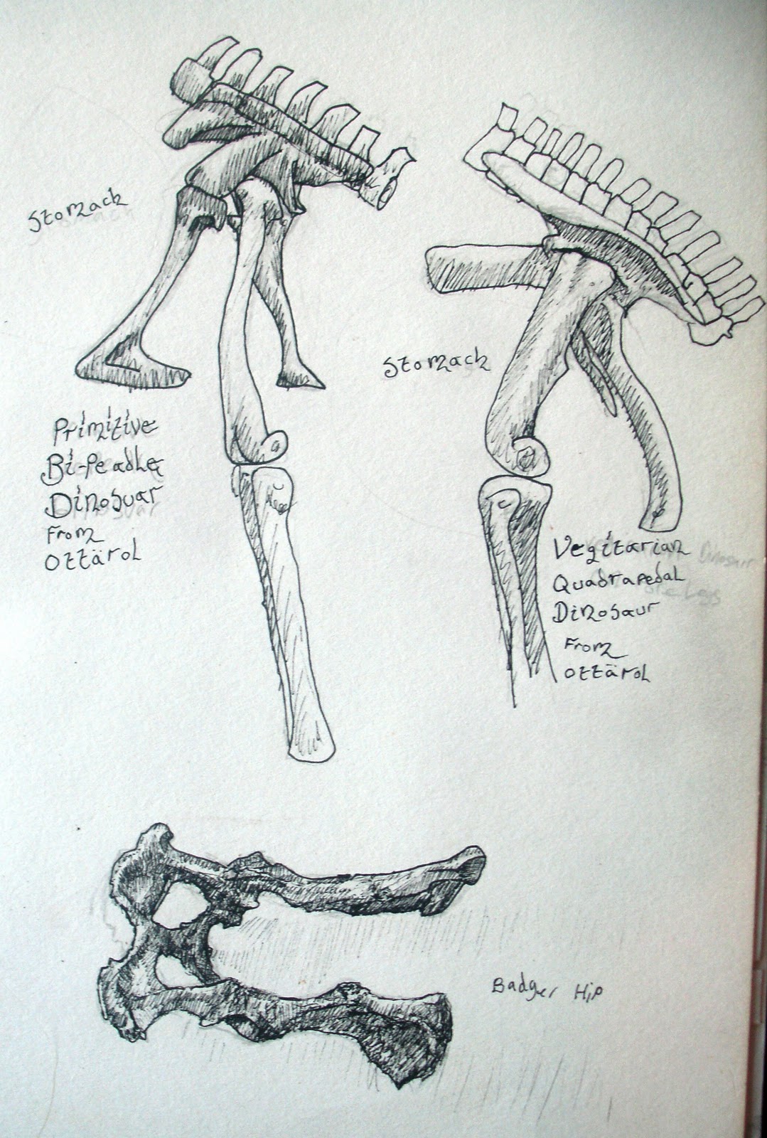 A Basket of Leaves: Musings on the bones of Dragons...