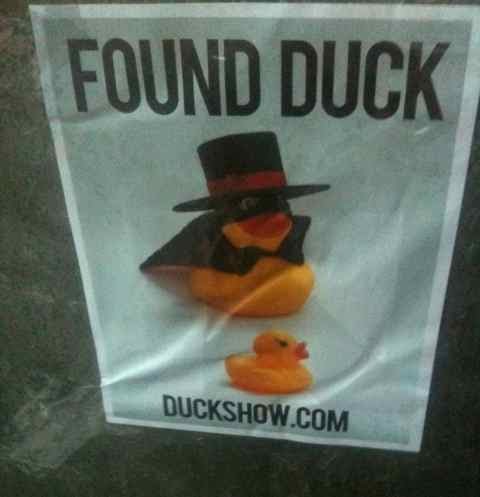 A Duck a Day: Lost duck found?