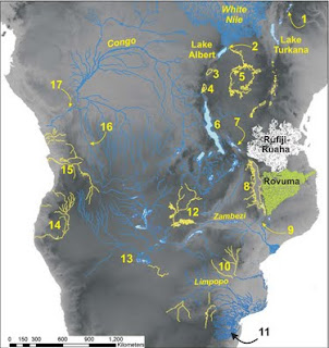 LinkNotes: Hydrocynus Goliath Tigerfish, a 'Giant Piranha'