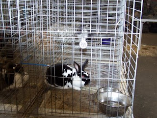 Travis Erwin: Show Me -- A My Town Monday Post