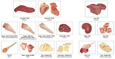 Food Lorists: A Classic Approach to Sauces and Dishes Associations