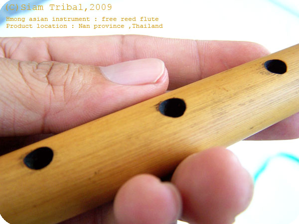 Siam Tribal Collectible , Asian art: An original of Hmong musical ...