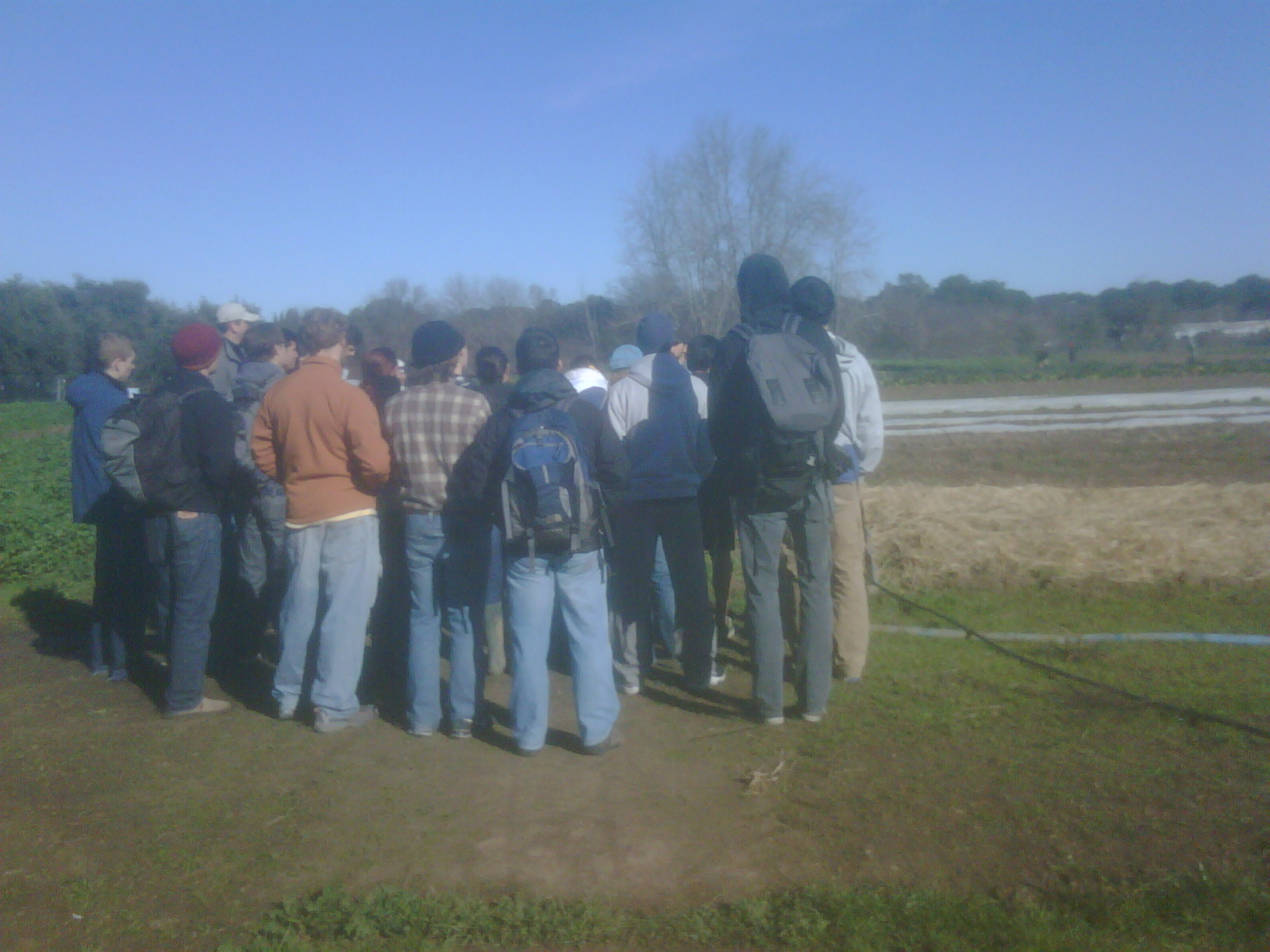 In the Lab and from the Field: UC Davis D-Lab: In the Lab: Drip ...