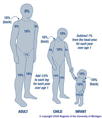 Head .S p a c e: Body Surface Area