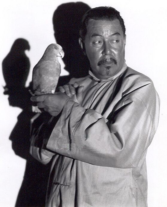 Kiwi's Angels: Charlie Chan's Courage (1934)