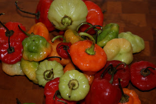 Recetas de Puerto Rico: Glosario Culinario Boricua