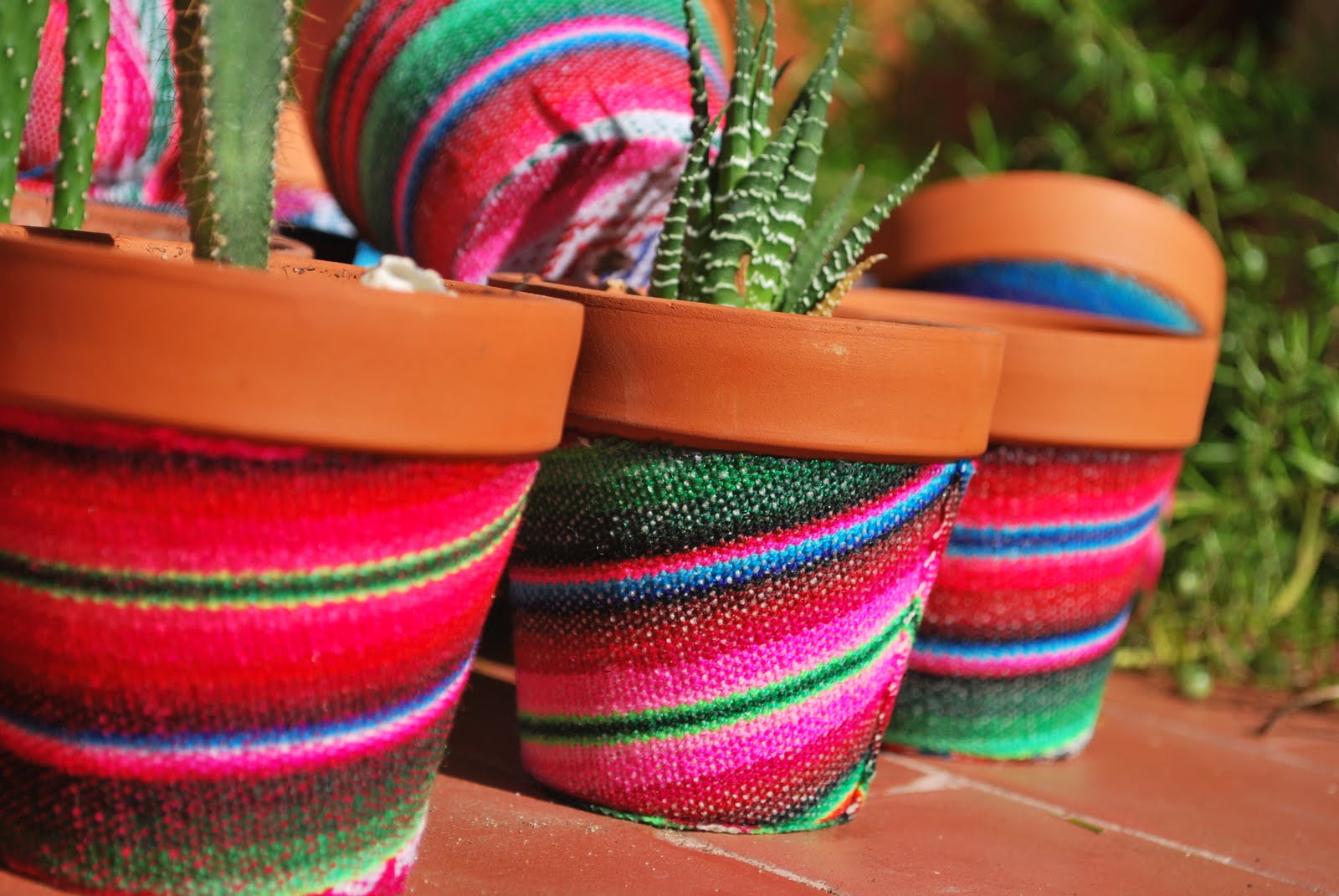 mis 7 colores: macetas para cactus