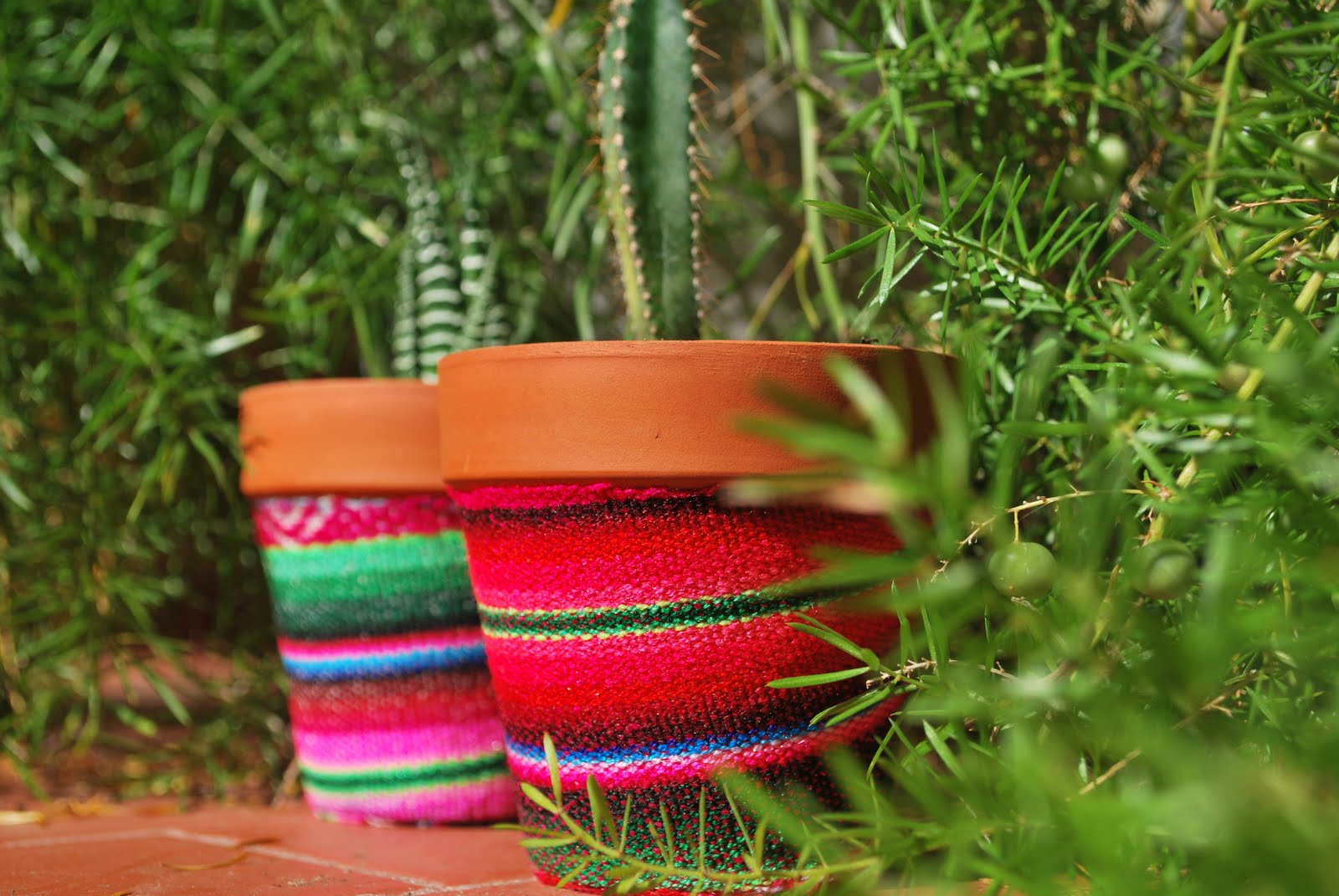 mis 7 colores: macetas