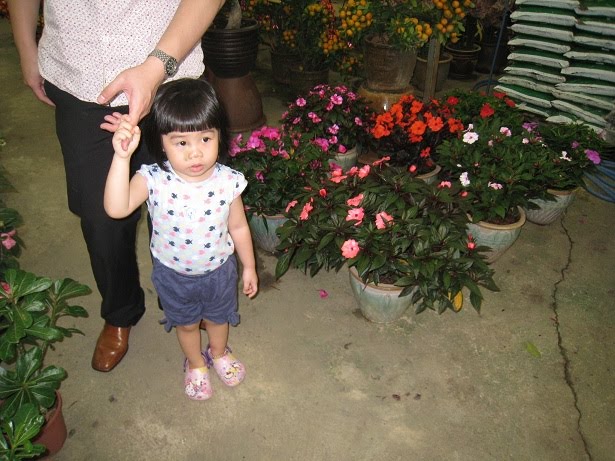 My Dollie Baby: Flower Market at Kovan