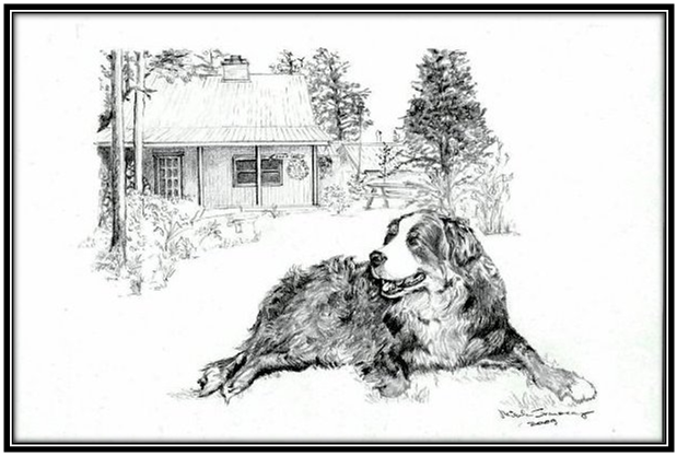 Ispirato Design: Pet Portraits