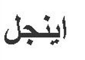 Humane Blogging Tips