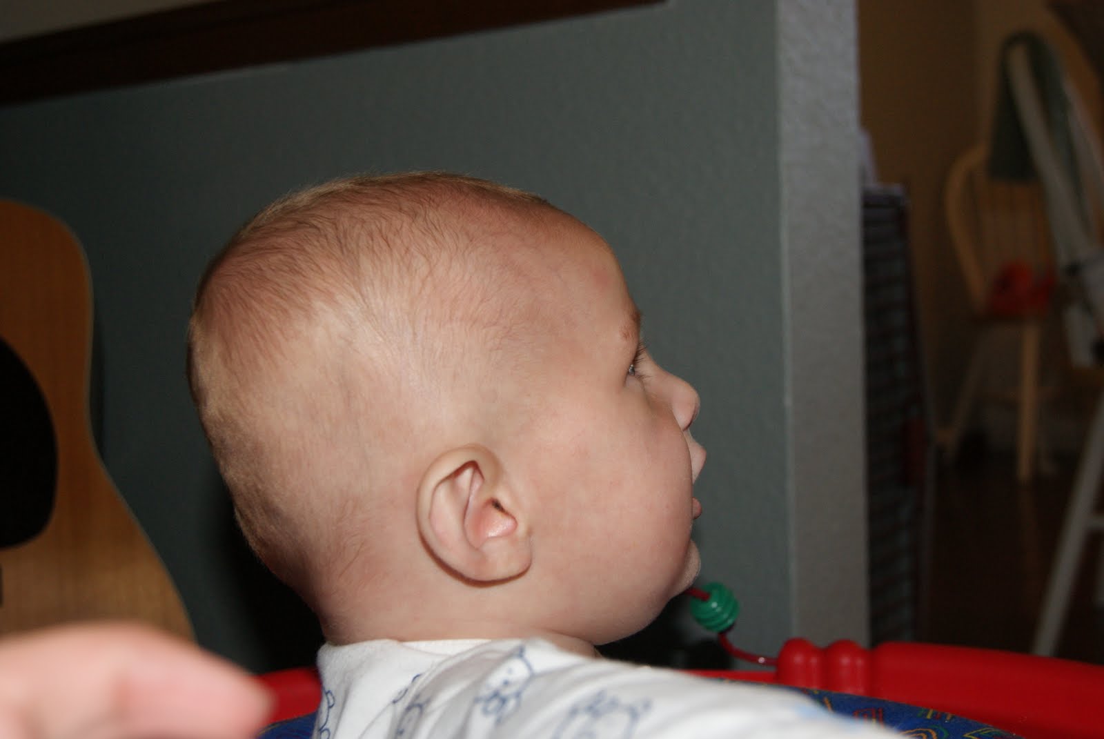 Mauer's Memoir: Brachycephaly-a-what!?