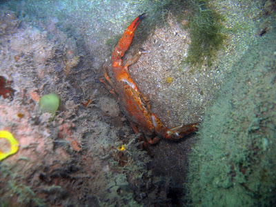 An Exciting Bubble Making Adventure...: Hantu Blog's 3rd Anniversary ...