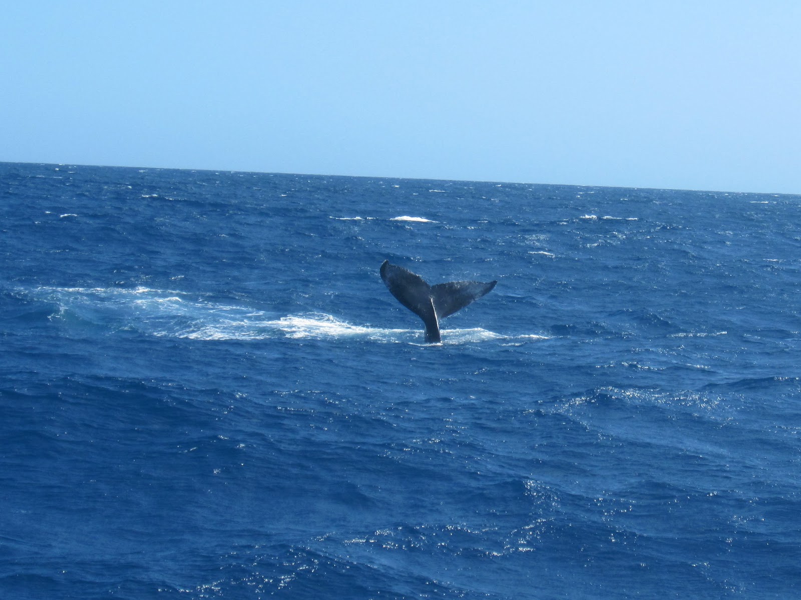 Following The Equator: Voyages of Equinox: Landfall: San Juan, Puerto Rico!
