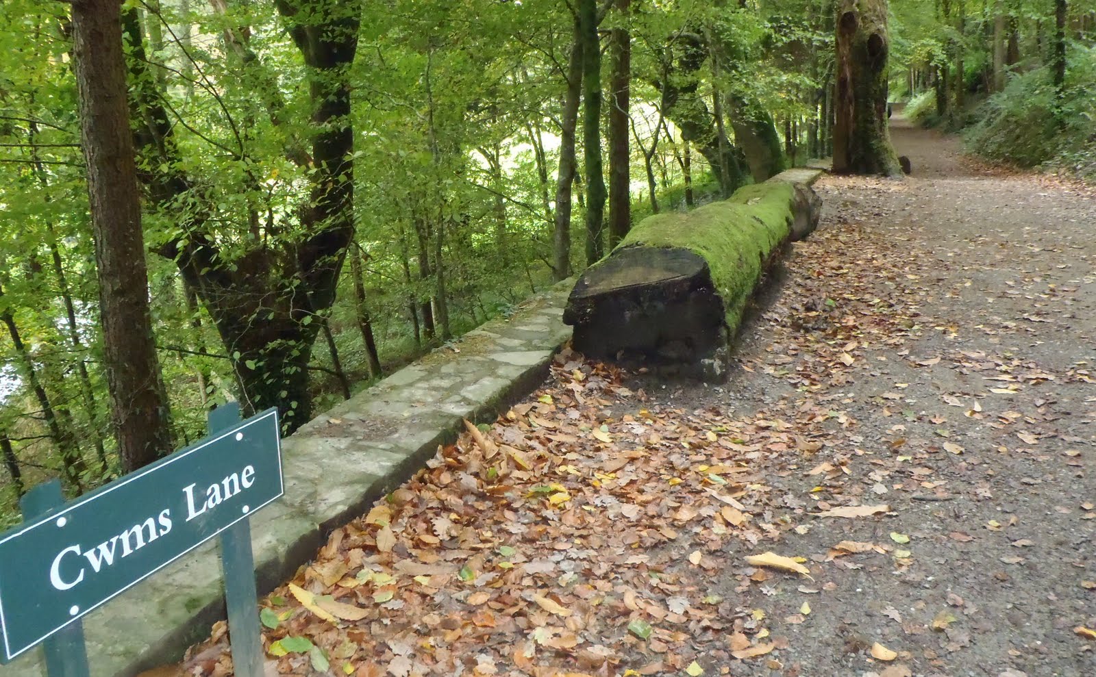 ForeverYoung: Autumn in Colby Woodland Gardens