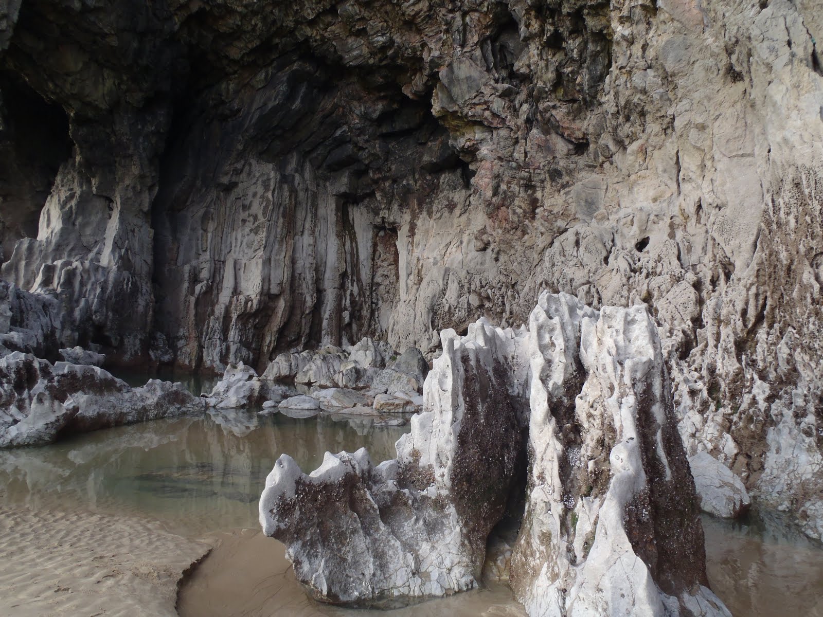 ForeverYoung: Lydstep Head