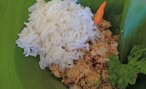 Julio Eden Pool - Seychelles