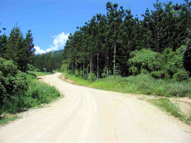 Malum Nalu: Skeletons emerge from pine forests of Bulolo