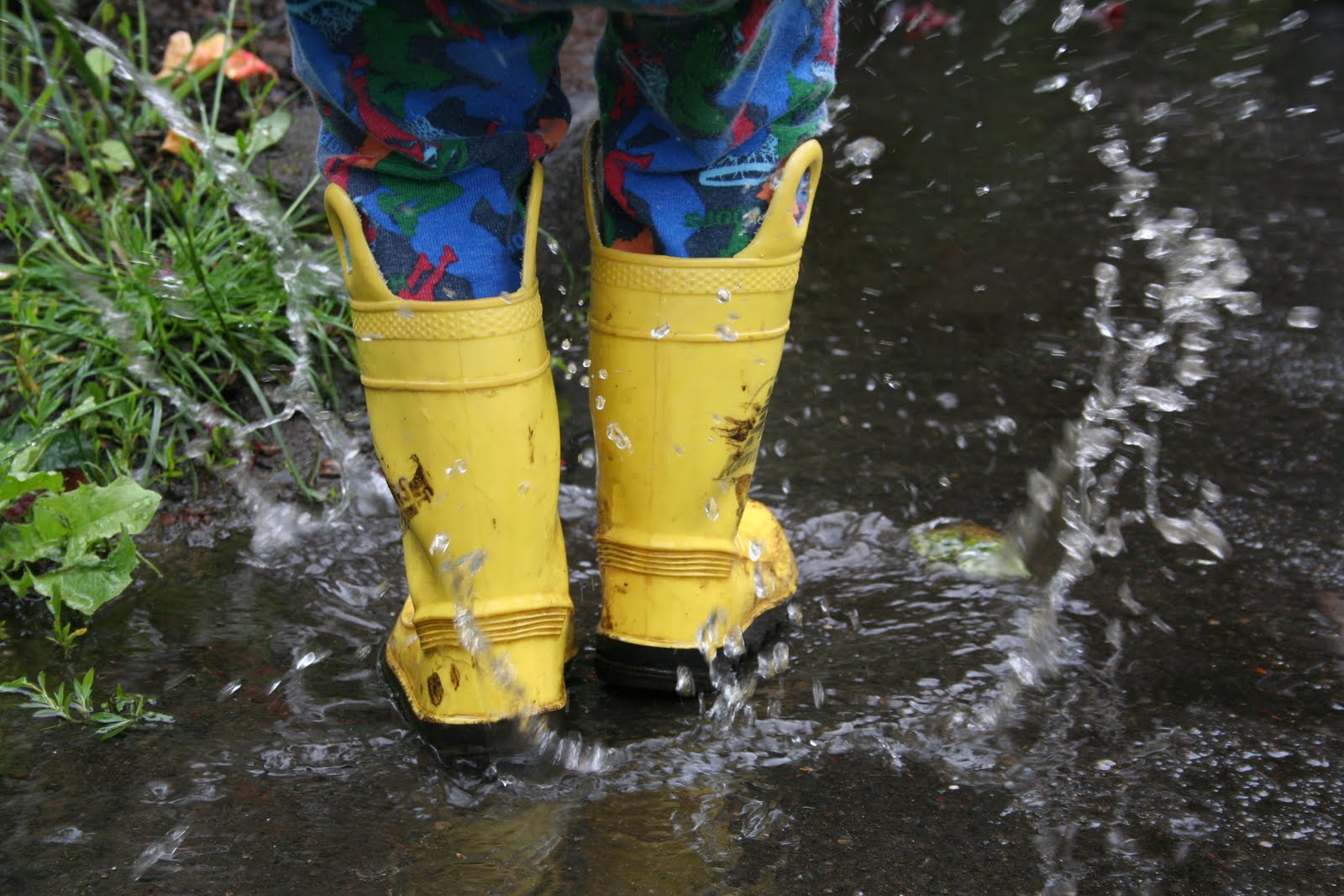 Mama Gone Green: Rain, Pennies and Puddles