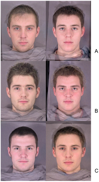 Dienekes’ Anthropology Blog: Skin yellowness but not masculinity as ...