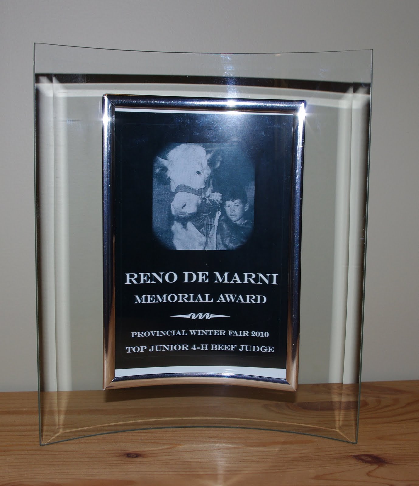 Creative "Try"als: How to Make a Homemade Keeper Trophy