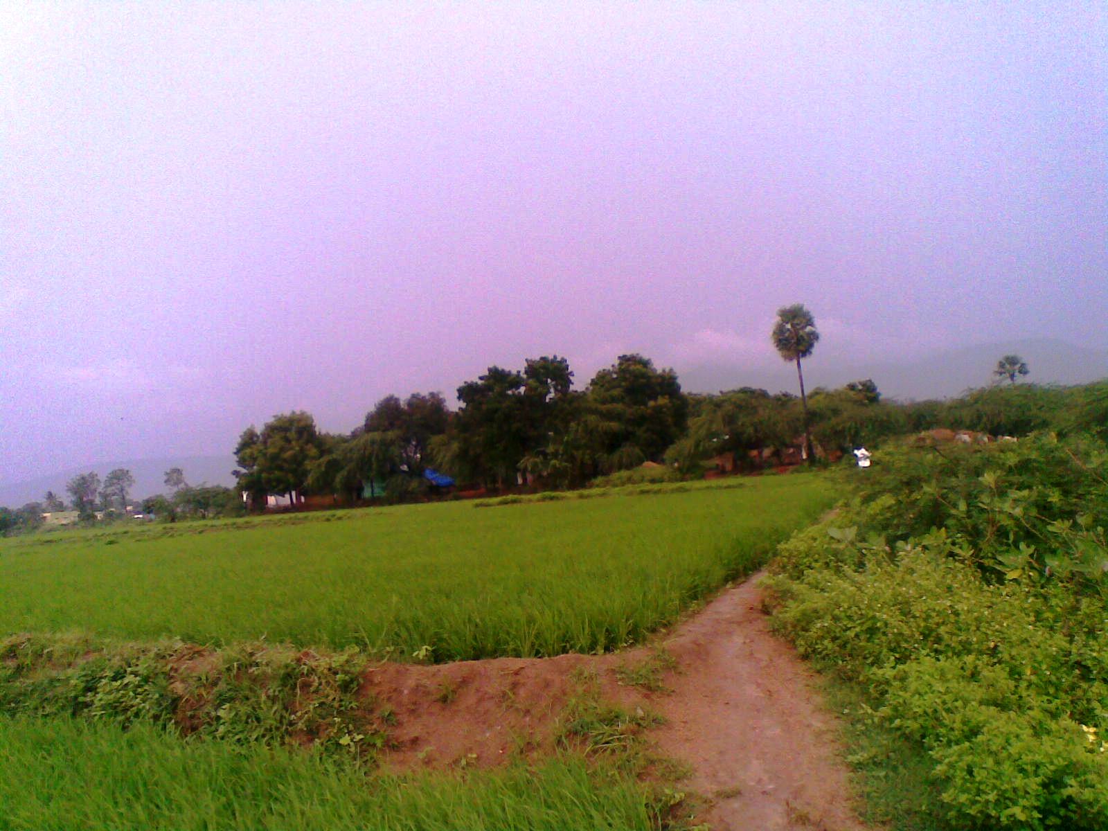 மாங்குளம் கிராமம் உங்களை வரவேற்கிறது[MANGULAM VILLAGE WELCOMES YOU ...