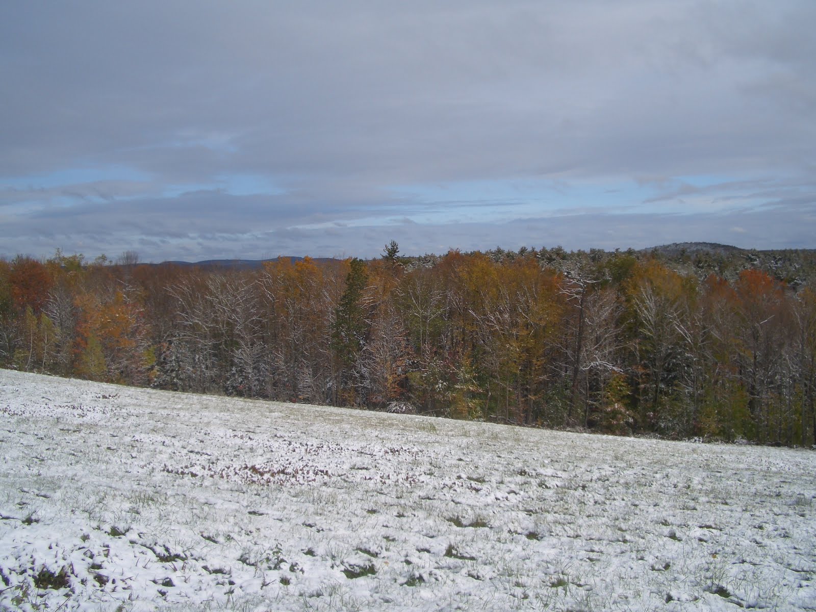 CeresNature: Autumn Snowfall