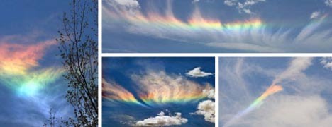 Creative, Collaborative, Lifelong learners: weird & wonderful wonders