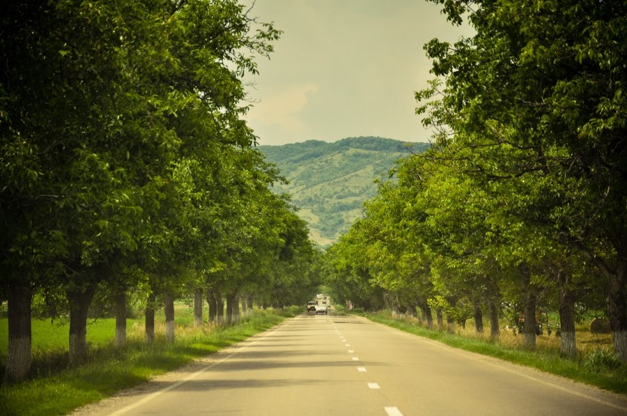 Dn 10 Buzau - Patarlagele - Nehoiu - Barajul Siriu - Intorsura Buzaului ...