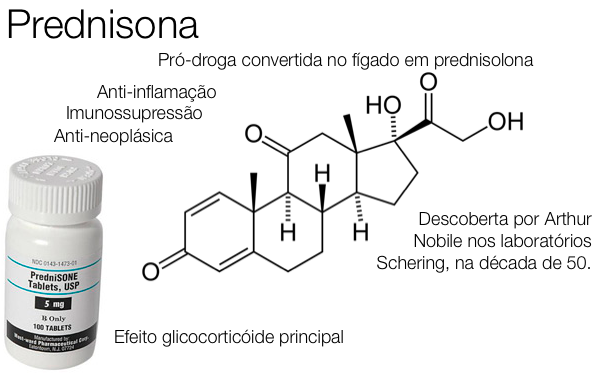 Neurologia em foco: Farmacologia da prednisona
