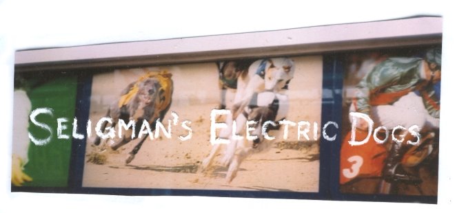 Seligman's Electric Dogs: Ethics of Selgiman's experiment