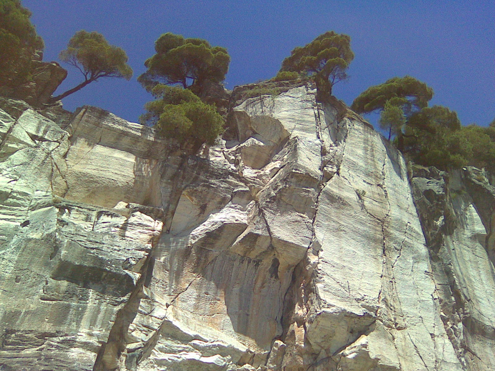 ΜΥΡΣΙΝΗ * ~: ~ * ΠΕΝΤΕΛΗ