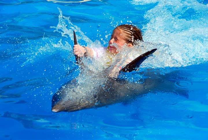 A and Bs: Riding a dolphin!!