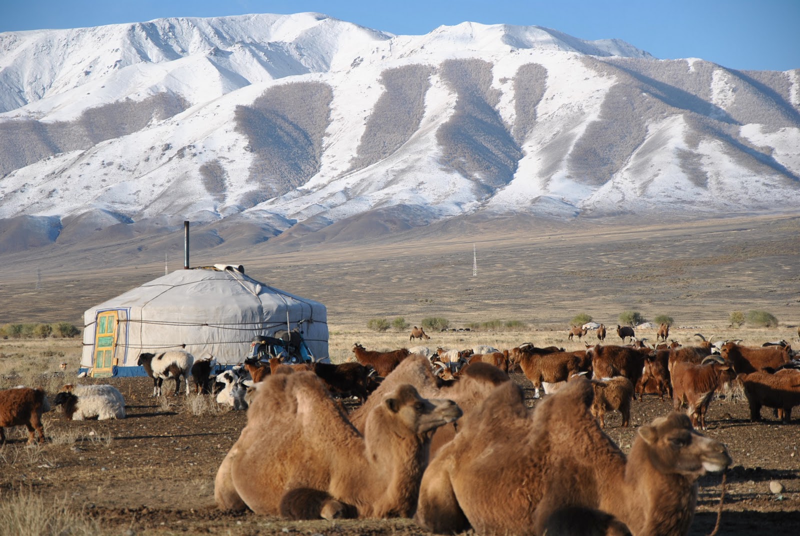 Mongolie: mode d'emploi: Pourquoi la Mongolie