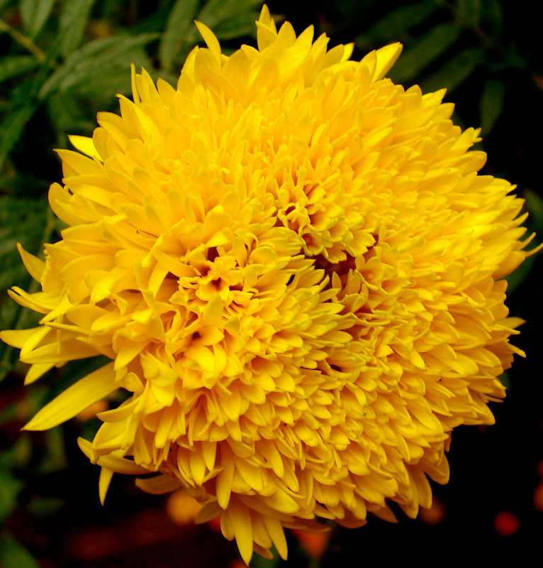 മിനി ചിത്രശാല 'photos': August 2010