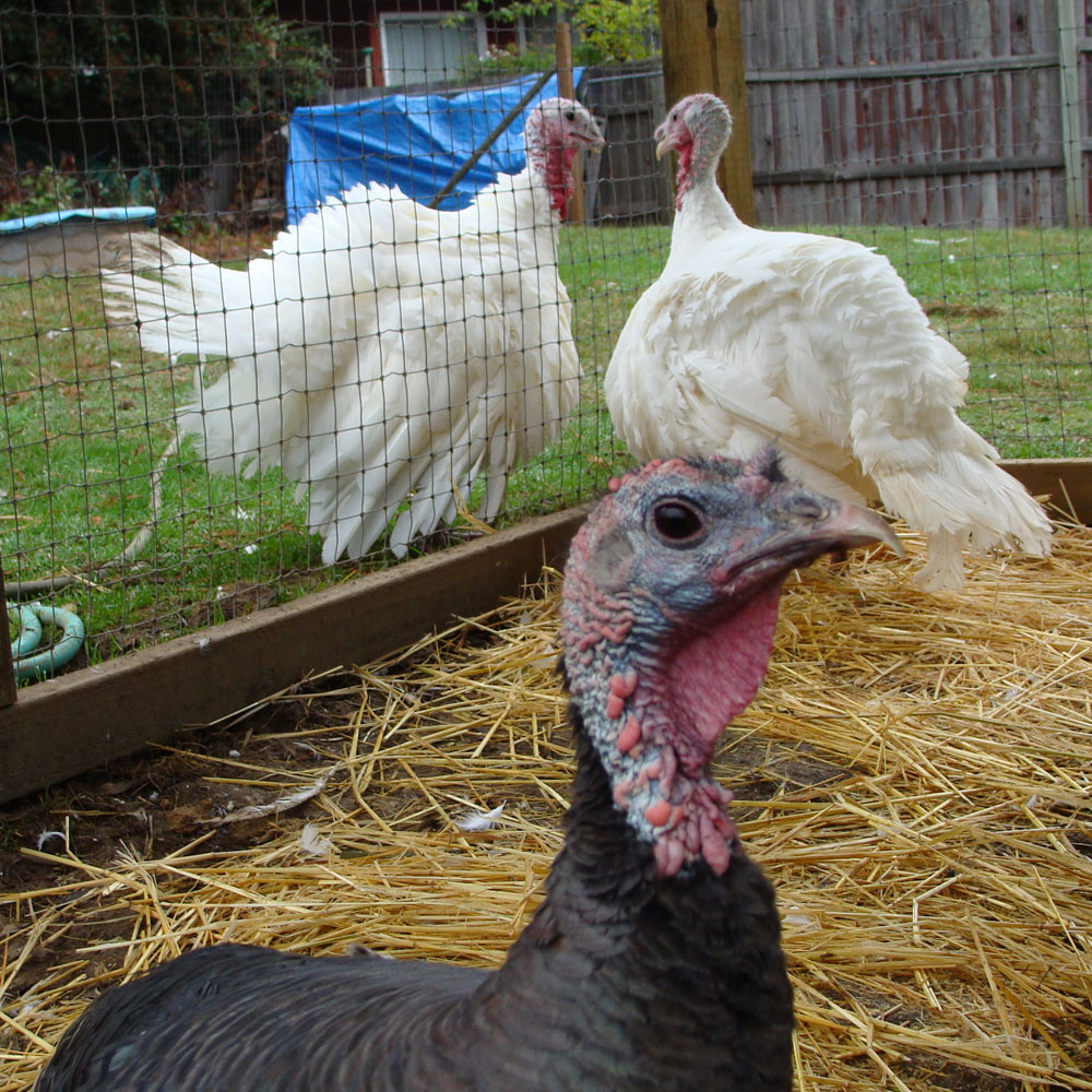 McFarland Designs - Ethical Jewelry Using Fair Trade Stones and ...