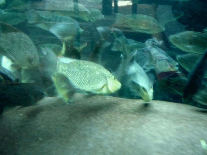 "SAN DIEGO!!! What could be worse than SAN DIEGO!!!"