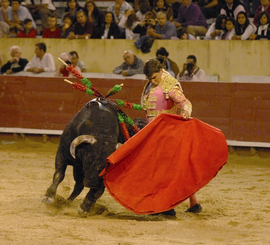 Diário Taurino: “Procuna” passeado em ombros em Santarém (C/FOTOS)