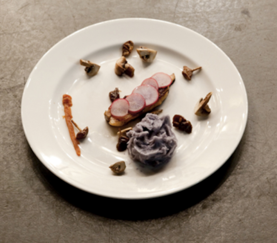 Blanch & Shock Development: Light Collective