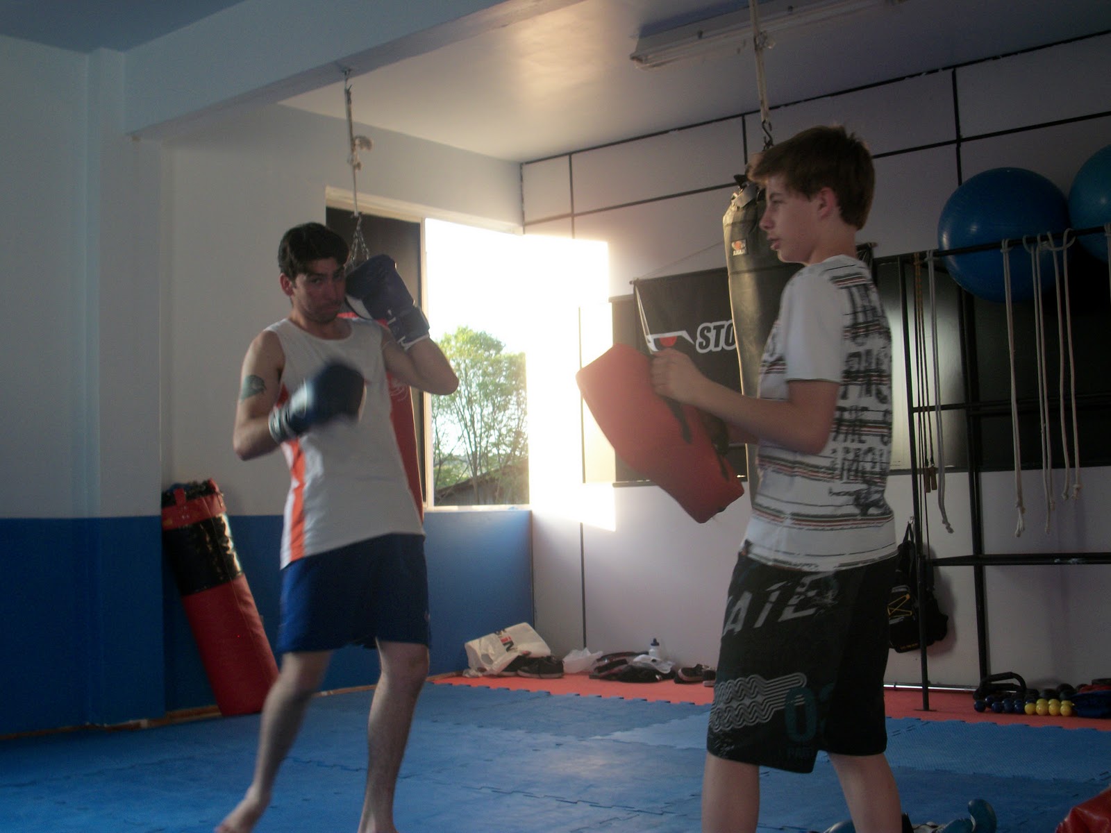 Arena Boxe