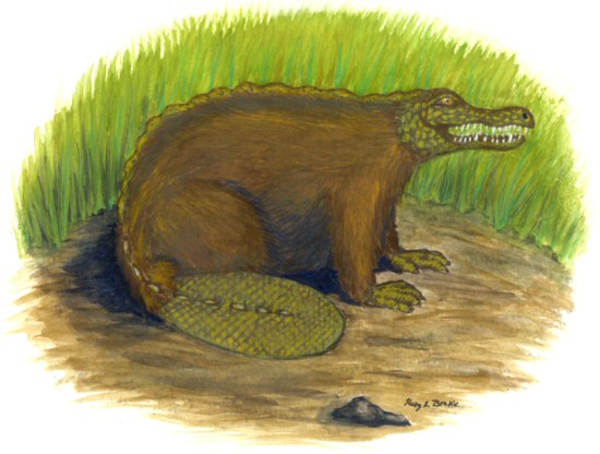 Afanc Photos | Monster Pictures